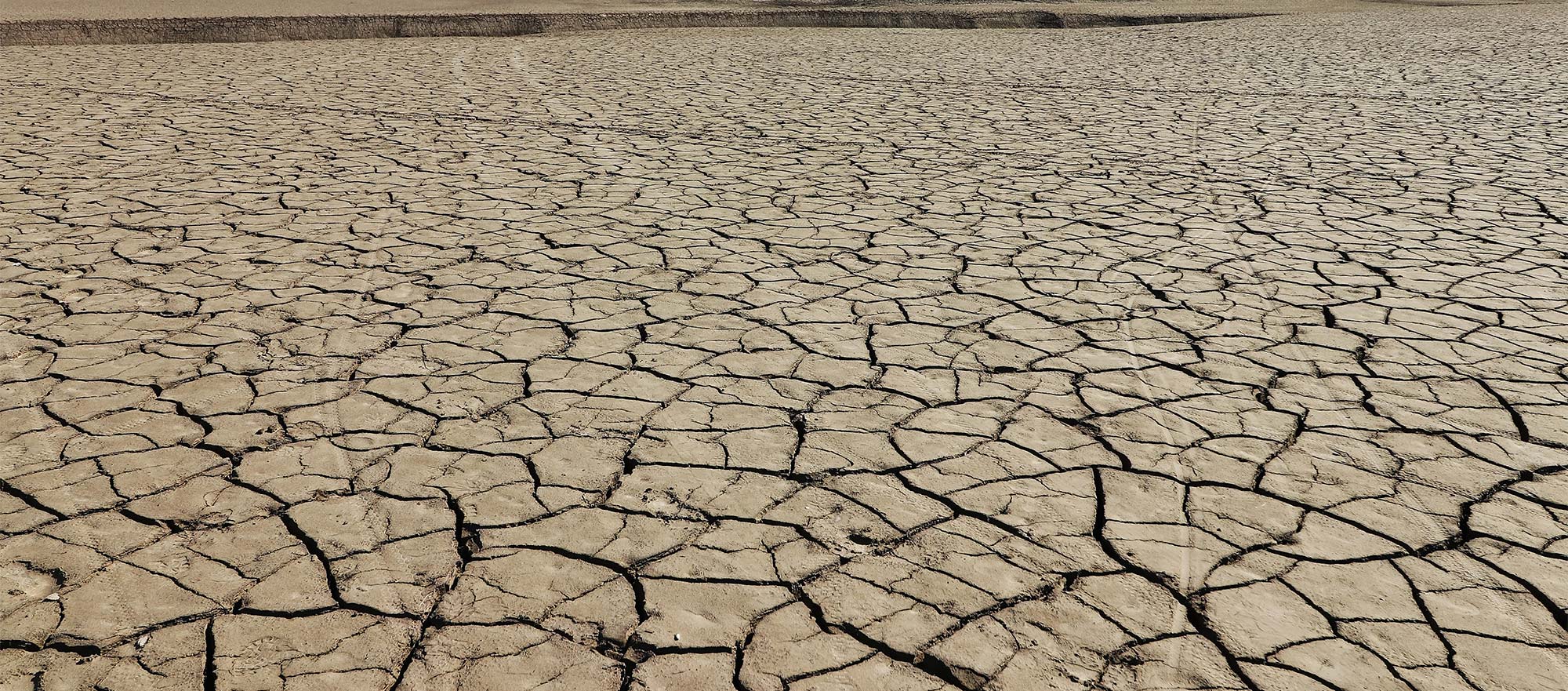 Submit your idea! | Shoots by Syngenta